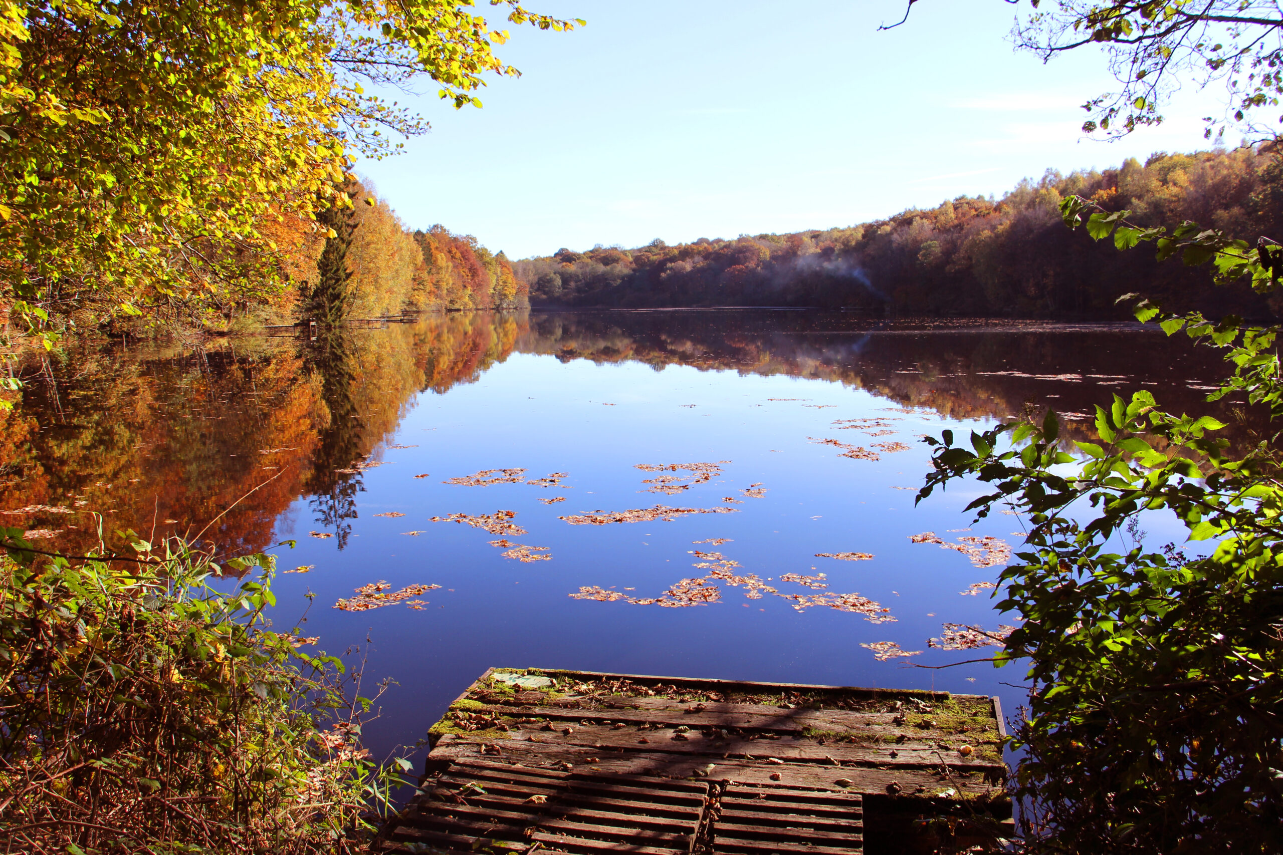 Walk along the 2 ponds in Brognon and Signy-Le-Petit